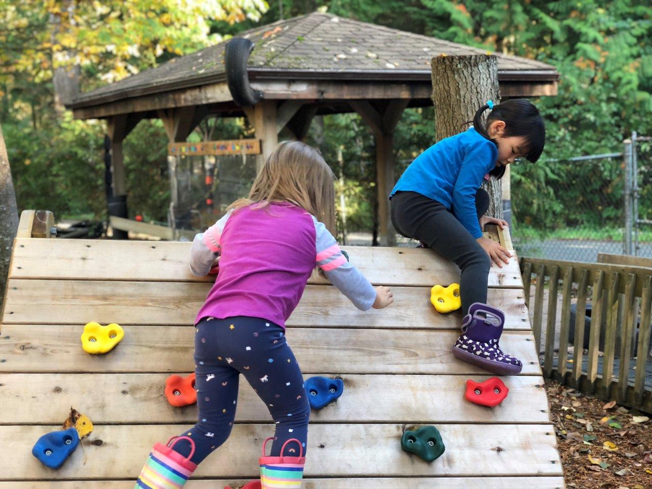 Our Program – Friendly Forest Preschool