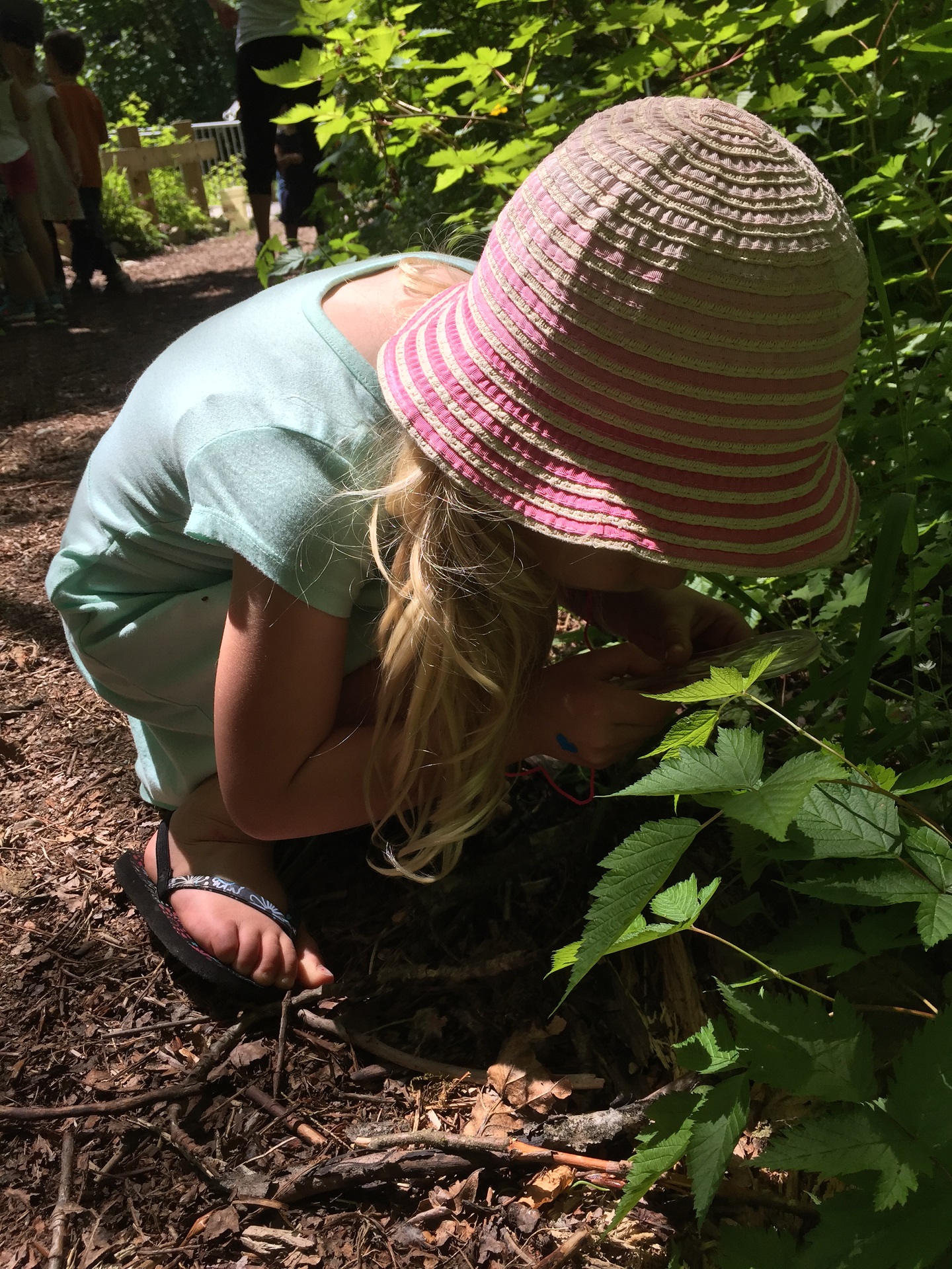 Our Environment – Friendly Forest Preschool