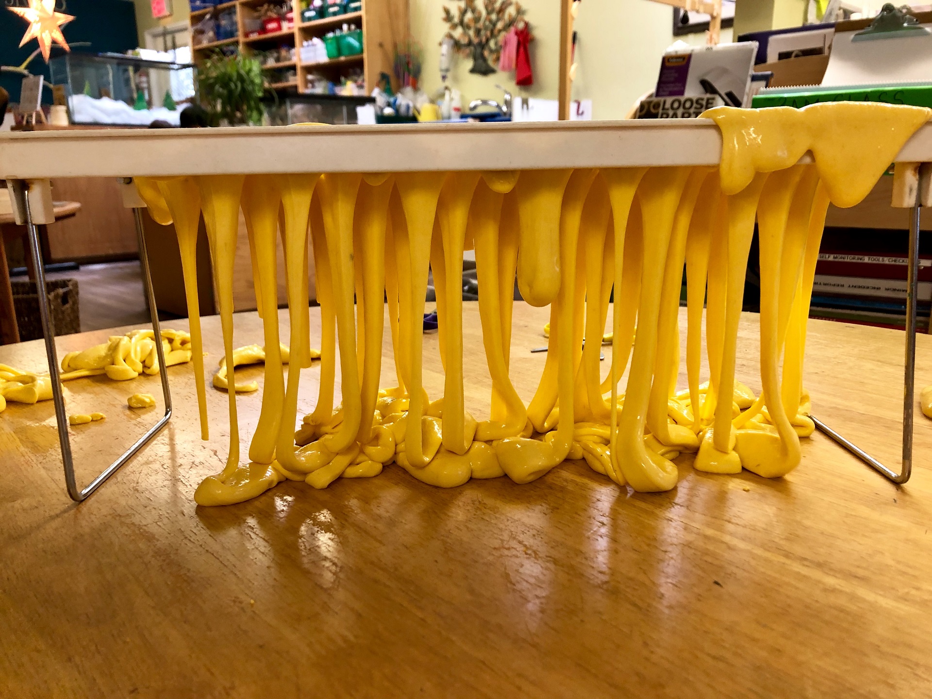 Our Program – Friendly Forest Preschool