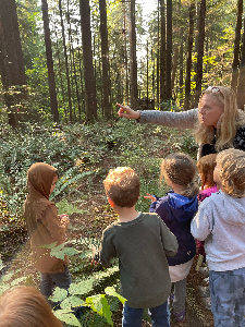 Our Environment – Friendly Forest Preschool